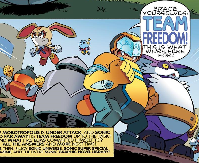 Team Freedom | Sonic (universe) Wiki | Fandom