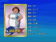 Eyecatch Cards | Sonic X Wikia | Fandom