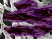 Final Mova | Sonic X Wikia | Fandom