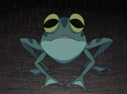 Froggy | Sonic X Wikia | Fandom