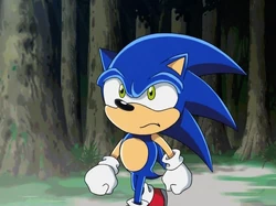 Revenge Of The Robot Sonic X