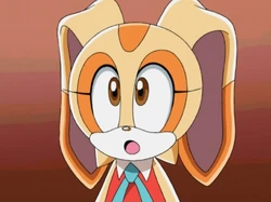 Cream The Rabbit Sonic X Base