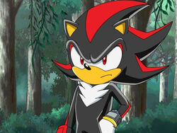Sonic X Screenshots Rouge And Shadow