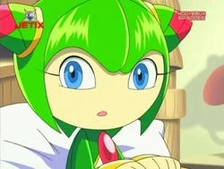 Sonic X Screenshots Tails And Cosmo