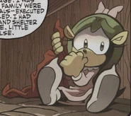 Matilda the Armadillo | Sonic Xtreme Wiki | Fandom