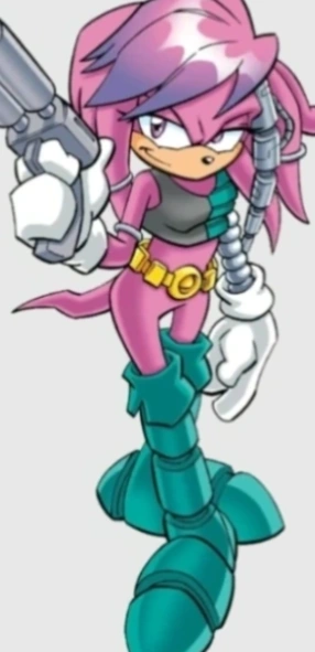 Julie-su the Echidna | Sonic Xtreme Wiki | Fandom