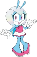 Sonic the Hedgehog: Endless Summer | Sonic Wiki Zone | Fandom