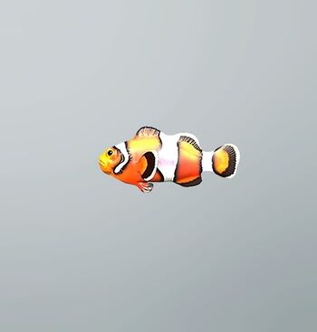 Clownfish | Sonic Wiki Zone | Fandom