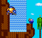 Tart Turtle | Sonic Wiki Zone | Fandom