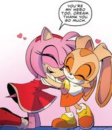 Amy Rose/Relationships | Sonic Wiki Zone | Fandom