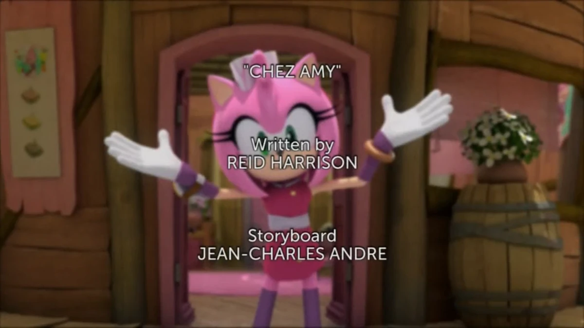 Chez Amy | Sonic Wiki Zone | Fandom