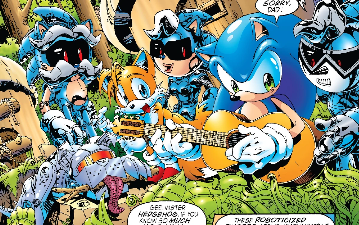 Robian (Pre-Super Genesis Wave) | Sonic Wiki Zone | Fandom