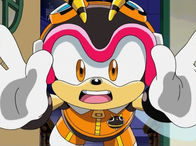 Charmy Bee (Sonic X) | Sonic Wiki | Fandom