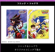 The Jet Black Hedgehog: Shadow the Hedgehog | Sonic Wiki Zone | Fandom