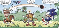 Coconuts (Pre-Super Genesis Wave) | Sonic News Network | Fandom