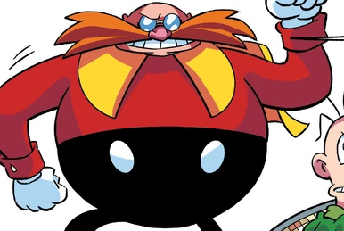 Sonic Operation Endgame