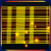 Plaid Trail | Sonic Wiki Zone | Fandom