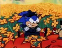 Pseudo Sonic (episode)/Gallery | Sonic Wiki Zone | Fandom