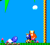 Lady Bug Boss | Sonic Wiki Zone | Fandom
