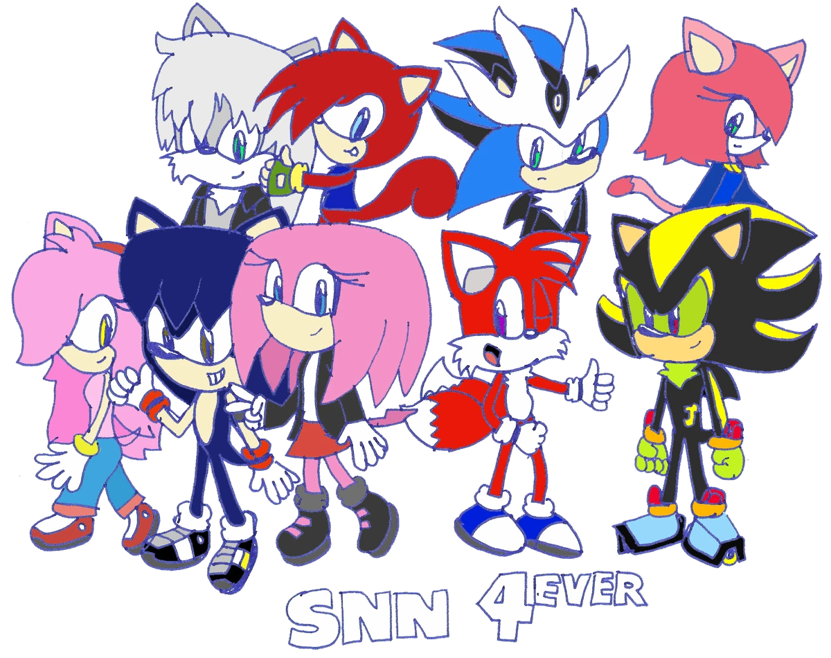 User blog:CesarTeamHYRO/SNN 4Ever Remake | Sonic Wiki Zone | Fandom