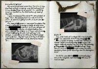 Gerald Robotnik's Journal | Sonic Wiki Zone | Fandom