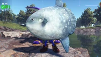 Sunfish | Sonic Wiki Zone | Fandom
