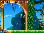Leaf Storm | Sonic Wiki | Fandom