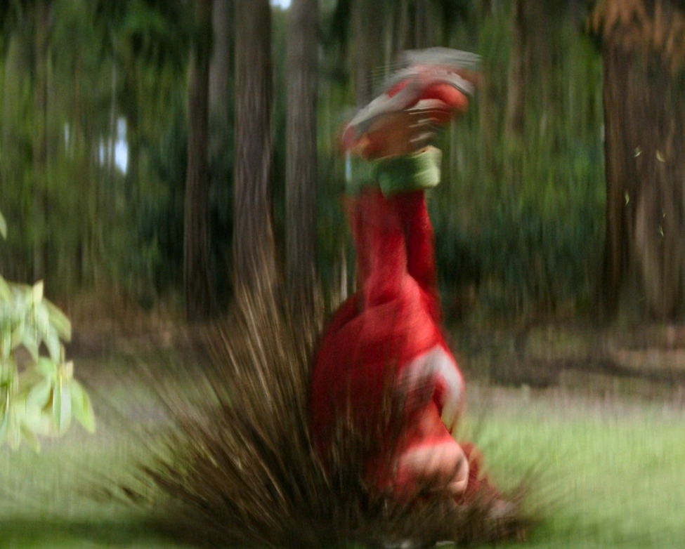 Dig (Paramount) | Sonic Wiki Zone | Fandom