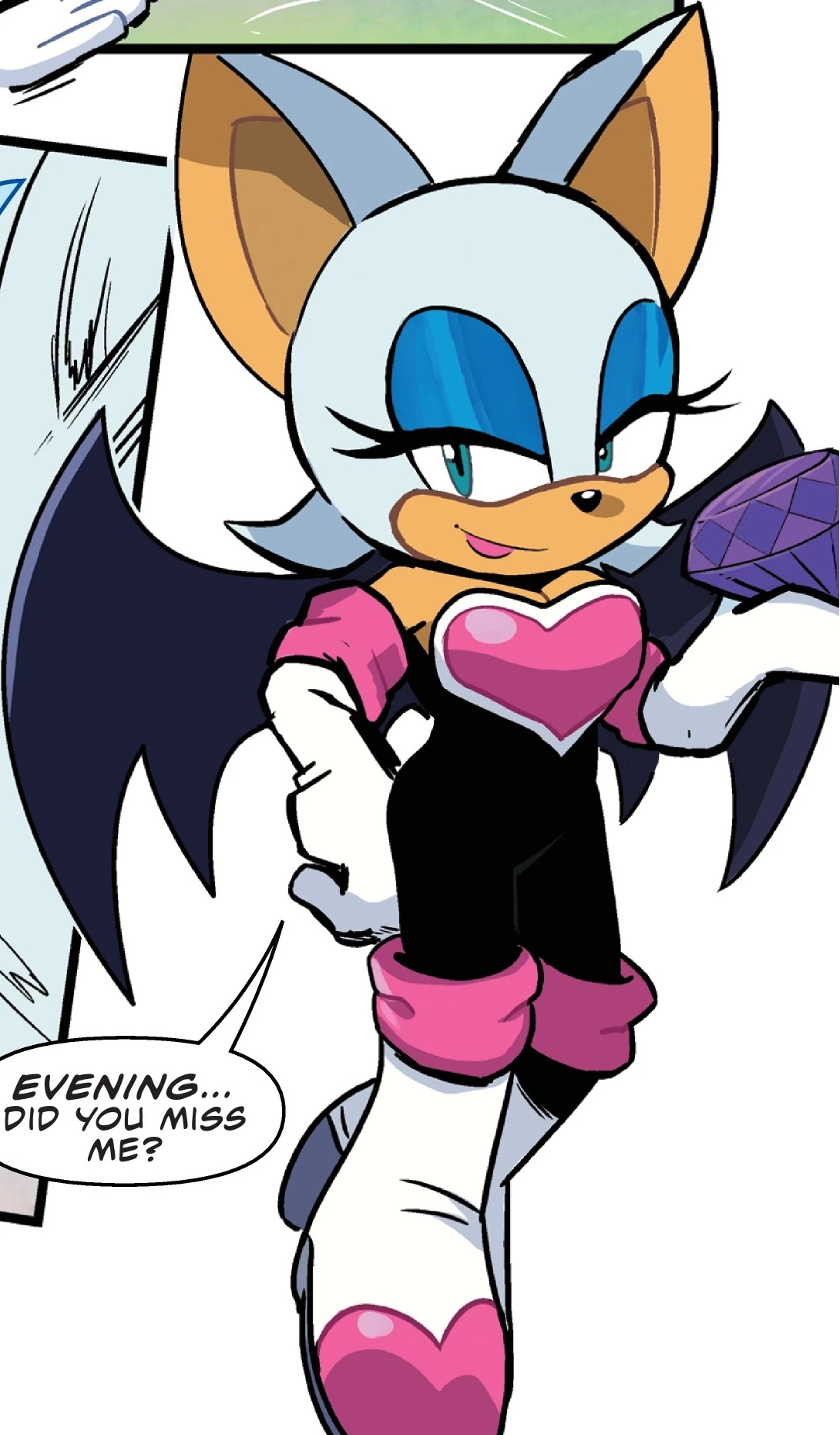 Rouge the Bat/History and appearances (IDW) | Sonic Wiki Zone | Fandom