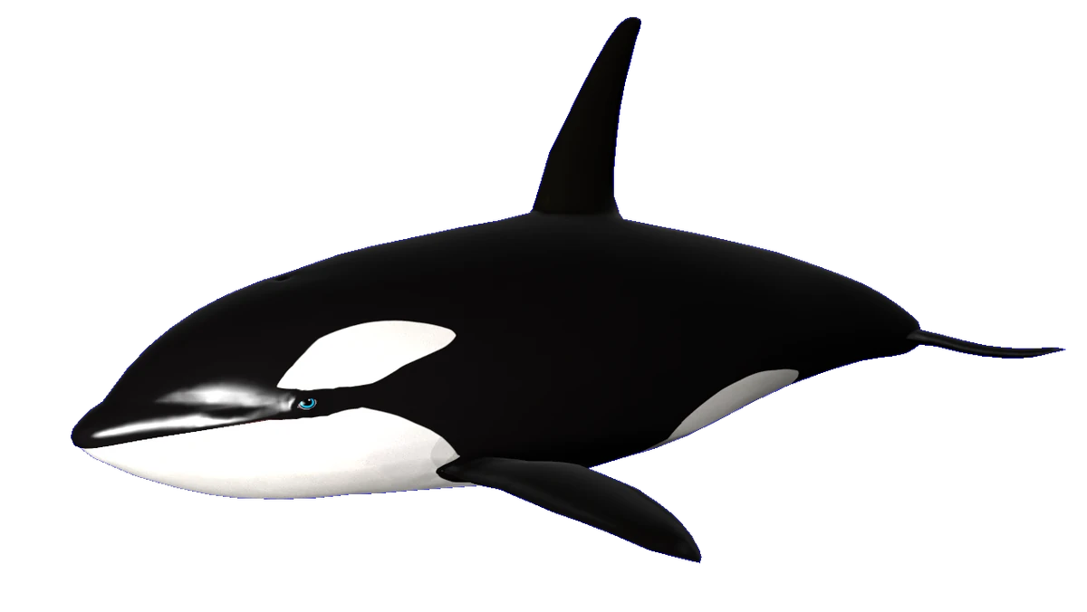 Orka | Sonic Wiki | Fandom