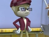 Category:Ferrets | Sonic News Network | Fandom