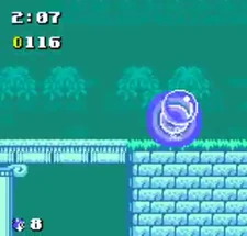 Air bubble | Sonic Wiki Zone | Fandom