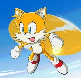 Propeller Flying (Sonic X) | Sonic Wiki Zone | Fandom