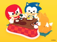Sonic & Friends | Sonic Wiki Zone | Fandom