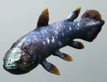 Coelacanth | Sonic Wiki Zone | Fandom