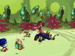 Team Rose | Sonic Wiki Zone | Fandom