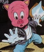 Picky | Sonic Wiki Zone | Fandom