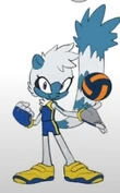 Sonic the Hedgehog: Endless Summer | Sonic Wiki Zone | Fandom