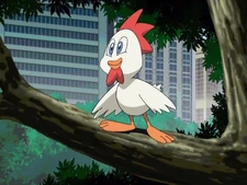 Cucky | Sonic Wiki Zone | Fandom