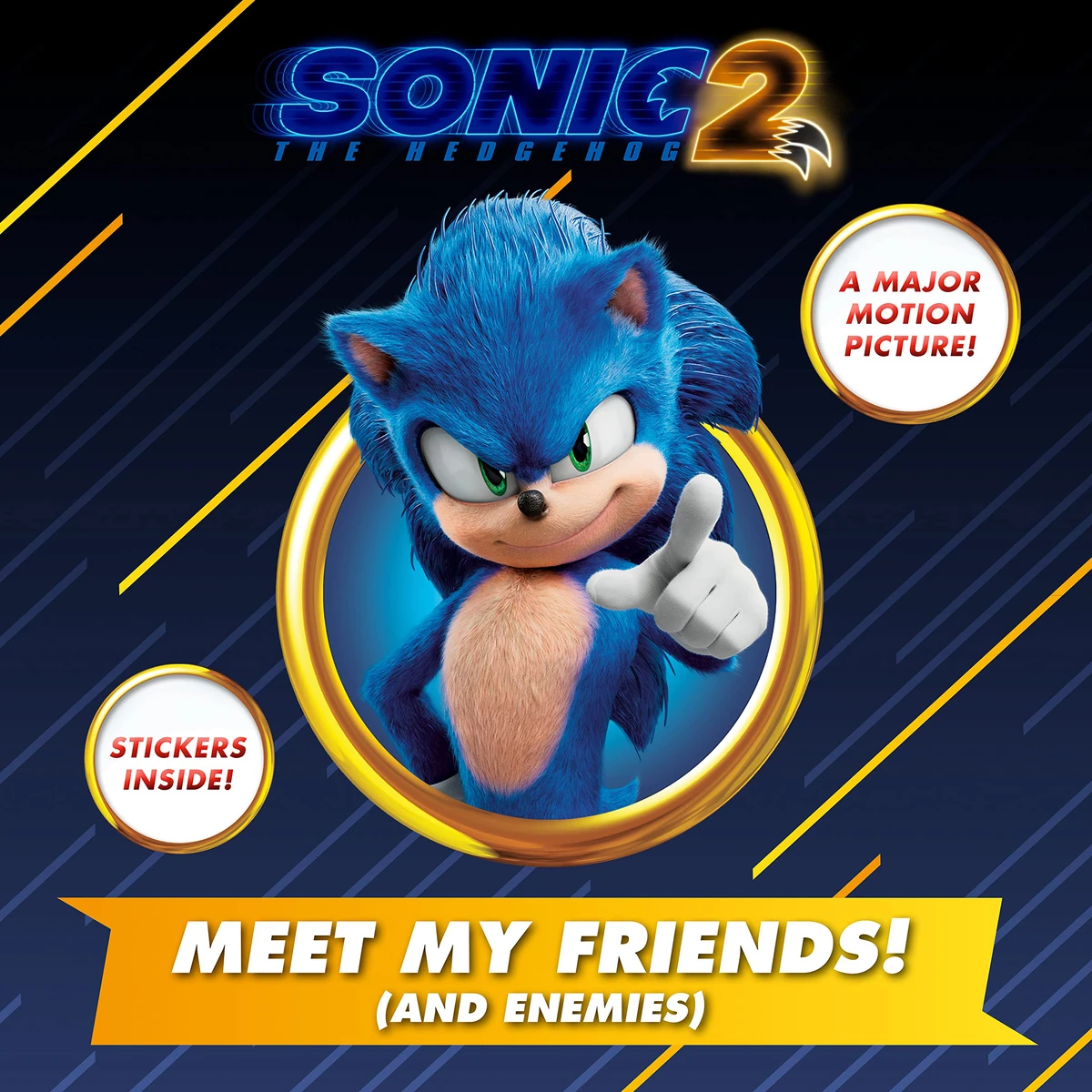 Meet My Friends! (And Enemies) | Sonic Wiki Zone | Fandom