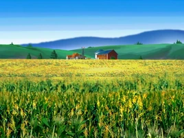 Tingalin Villa | Sonic Wiki Zone | Fandom