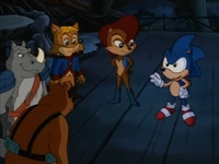 Freedom Fighters (SatAM) | Sonic Wiki Zone | Fandom