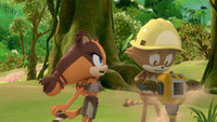 Wild Cat | Sonic Wiki Zone | Fandom