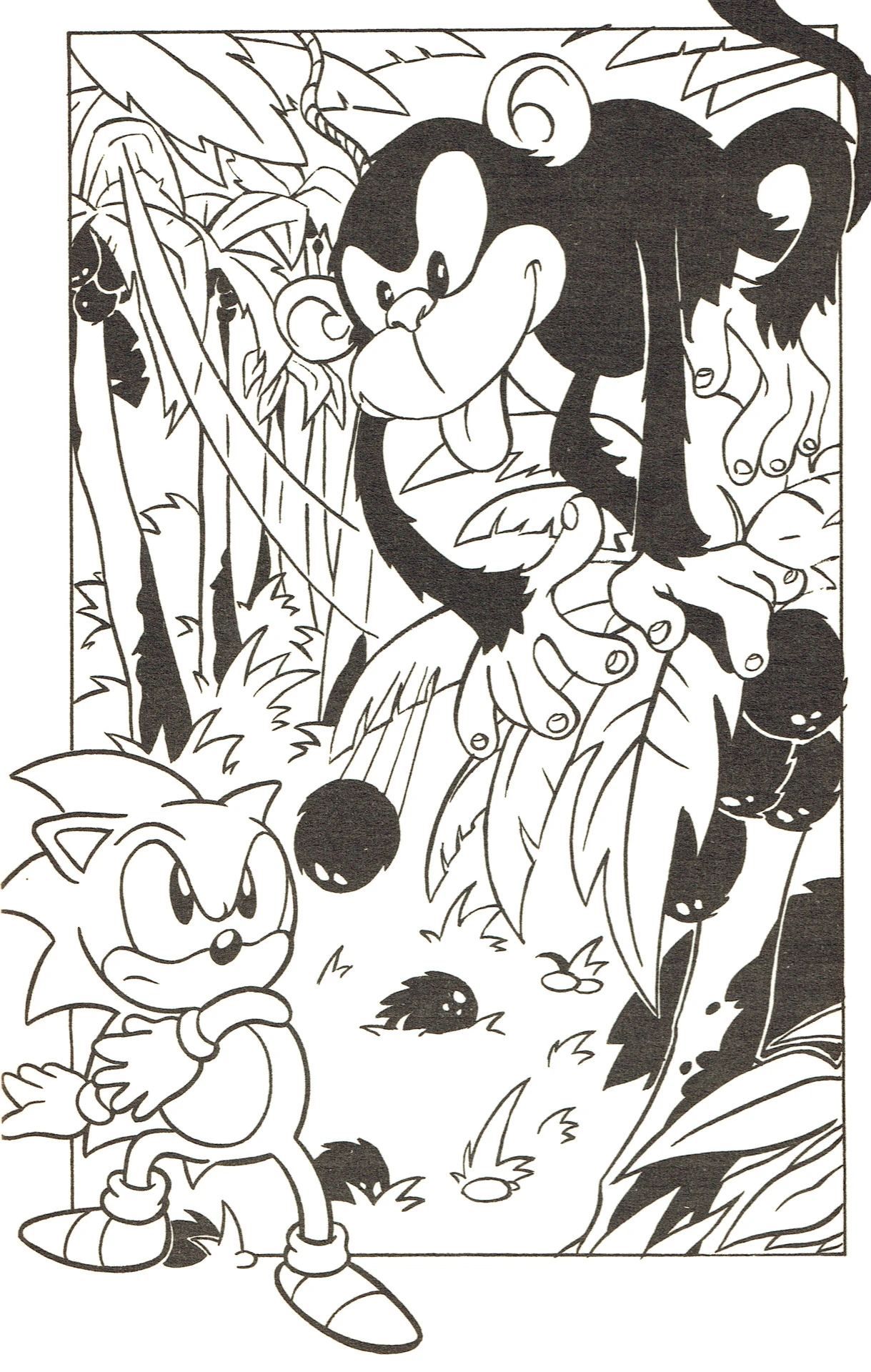 Coconuts (Fantail) | Sonic Wiki Zone | Fandom