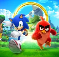 Sonic the Hedgehog X Angry Birds | Sonic Wiki Zone | Fandom