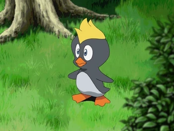 Pecky (Sonic X) | Sonic Wiki Zone | Fandom