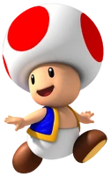 Toad | Sonic Wiki Zone | Fandom