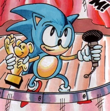 Hero of the Year Award | Sonic Wiki Zone | Fandom