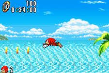 Glide | Sonic Wiki Zone | Fandom