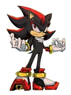 The Jet Black Hedgehog: Shadow the Hedgehog | Sonic Wiki Zone | Fandom